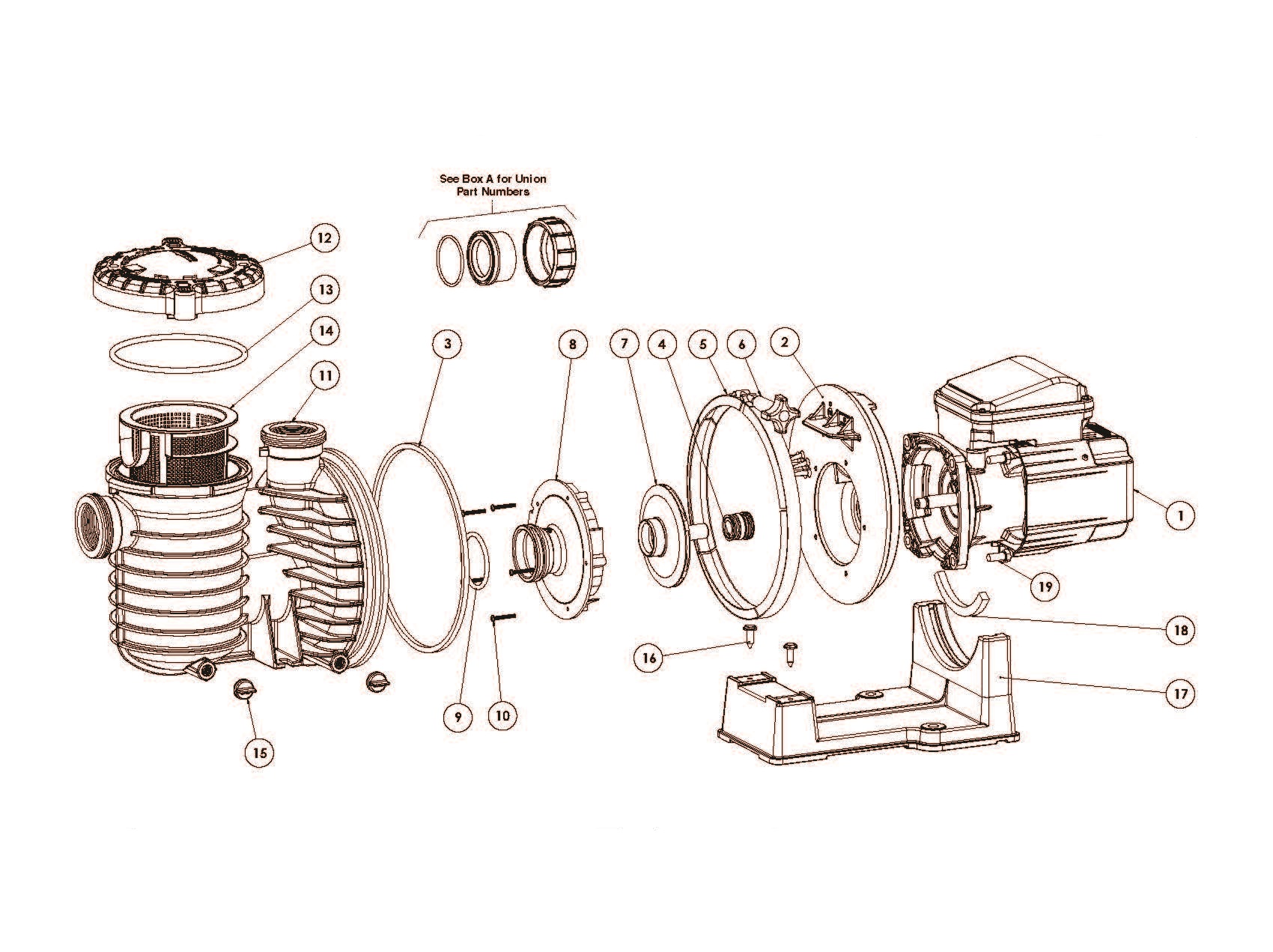 POOL360 | Max-E-Pro® Pool and Spa Pump 3HP 208-230V 60Hz EXPORT ONLY