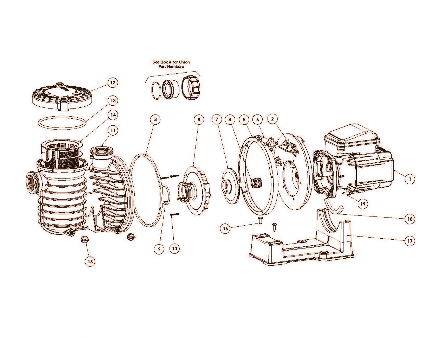 POOL360 | Max-E-Pro® Pool and Spa Pump 3/4HP 240/120V 50Hz EXPORT ONLY