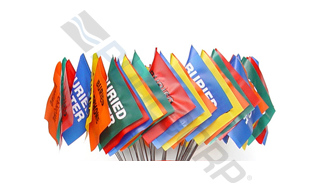 POOL360 | Green Glow Flag Horizon Logo