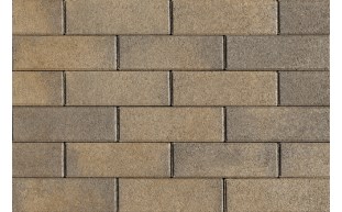 POOL360 | Micro 4" x 12" 8cm Chamfer Catina Blend TM Paver