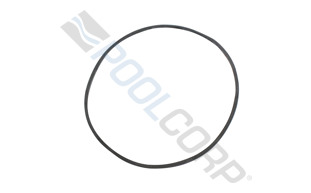 POOL360 | O-Ring for Americana® Pump Seal Plate