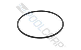 POOL360 | O-Ring for Anthony Lens Gasket Anthony/Kim NS