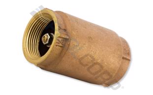 POOL360 | 1.25" 5 PSI Brass In-Line Spring Check Valve