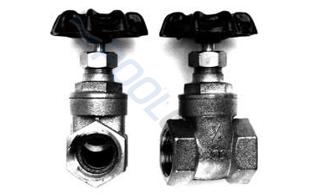 POOL360 | 4" TxT Brass Steel Gate Valve