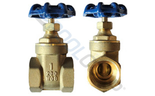 POOL360 | 1.25" Gold Gate Valve