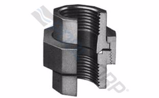 POOL360 | 3/4" FIPT Galvanized Union 150 lb
