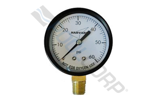POOL360 | 2" Plastic Pressure Gauge with .25" Back Mount MIP Connection ...