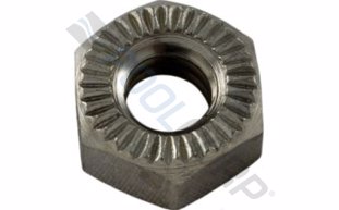 POOL360 | .25"-20 Brass Plated Stainless Steel Serrated Hexagonal Nu