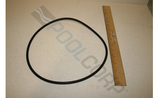 POOL360 | #2-449 Buna N Volute O-Ring for Ultra-Flow Pool Pump