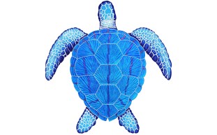 POOL360 | 15" x 14" Medium Fusion Tile Accents Loggerhead Turtle Sapphire