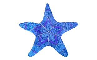 POOL360 | 10" Fusion Tile Accents Starfish Sapphire