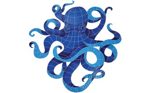 POOL360 | 36" x 29" Octopus