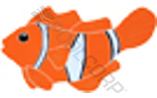 POOL360 | 5" x 8" Left Facing Clown Fish Orange