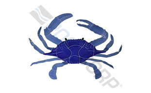 POOL360 | 12" x 16" Crab Blue