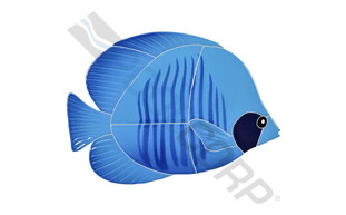 POOL360 | 5" x 8" Tiger Tang Blue