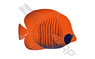 POOL360 | 5" x 8" Tiger Tang Orange