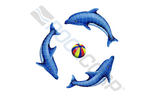 POOL360 | 62" x 62" Dolphin Group With Multi Color Ball