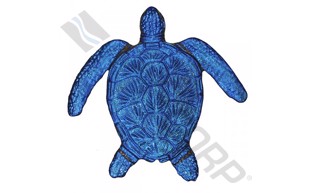 POOL360 | 6" Fusion Accents Loggerhead Turtle Sapphire