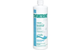 POOL360 | Swimtrine Plus 1 qt Bottle Algaecide 12 per Case