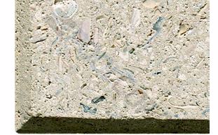 POOL360 | 24" x 24" Shellock® Paver Tan