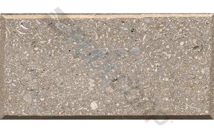 POOL360 | 4" x 8" Shellock® Paver Brick Cafe