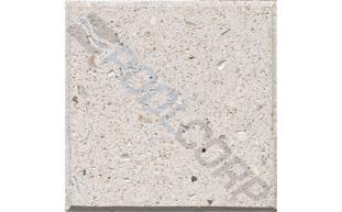 POOL360 | 8" x 8" Shellock® Paver Ivory