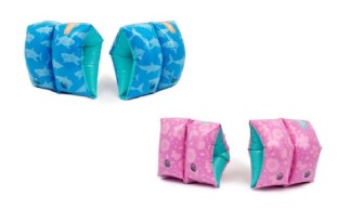 POOL360 | Dual Chamber Arm Floats Assorted