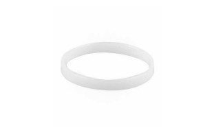 POOL360 | ZODIAC BARACUDA DIAPHRAGM RETAINING RING