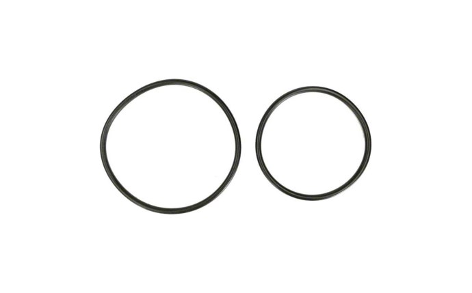 POOL360 | HAYWARD SWIMCLEAR ORING KIT SET OF 2