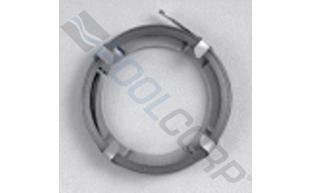 POOL360 | BRIGGS VERT REW STR SPRING