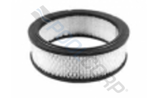 POOL360 | BRIGGS AIR FILTER CARTRIDGE