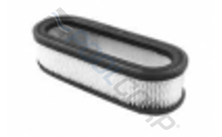 POOL360 | BRIGGS AIR CLEANER CARTRIDGE FILTER