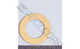 POOL360 | BRIGGS SEALING WASHER