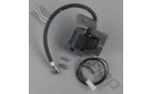 POOL360 | BRIGGS MAGNETO ARMATURE