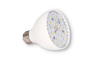 POOL360 | Vivid 360™ Blue and White Replacement LED Spa Bulb 20W 120V