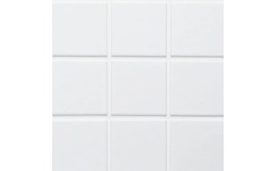 POOL360 | 2" x 2" Tile Quad Matte White