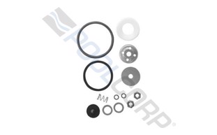 POOL360 | Seal and Gasket Kit for Chapin Sprayers