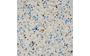 POOL360 | CrystalStones Natural 80 lbs Pebble Pool Finish Stone Blue Pearl