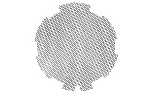 POOL360 | Diluvio™ Stainless Steel Screen for Pentair Face Ring