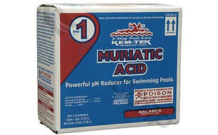 POOL360 | 1 gal Muriatic Acid 2 per Case