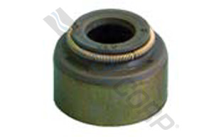 POOL360 | OIL SEAL