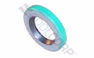 POOL360 | Bearing Seal