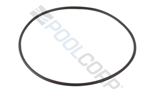 POOL360 | O-Ring for LM3 Series Chlorinator Cell