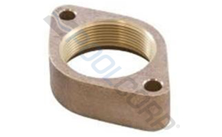 POOL360 | Bronze TG50 Flange