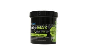 POOL360 | SludgeMAX Muck and Sludge Reducer Pellets 1.5 lbs