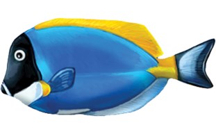 POOL360 | 8" x 4" Powder Blue Tang Mosaic Pool Tile