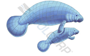 POOL360 | 48" x 34" Manatee with Baby and Shadow Mosaic Pool Tile
