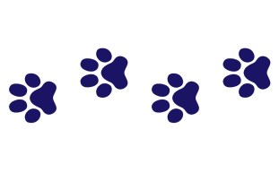 POOL360 | 3" x 3" Porcelain Paw Print Step Markers