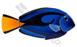 POOL360 | 10" x 5" Pacific Blue Tang Mosaic Pool Tile