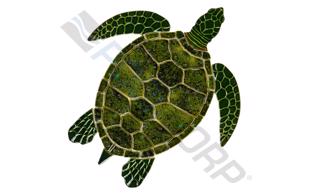 POOL360 | 32" x 28" Green Sea Turtle Mosaic Pool Tile